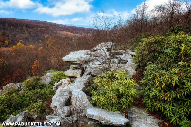 Exploring Wolf Rocks Overlook in the Forbes State Forest