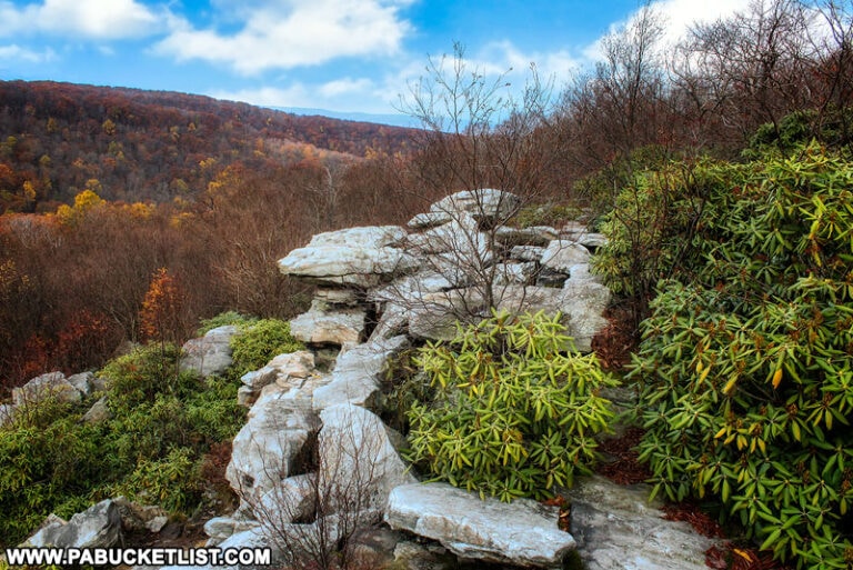 Exploring Wolf Rocks Overlook in the Forbes State Forest