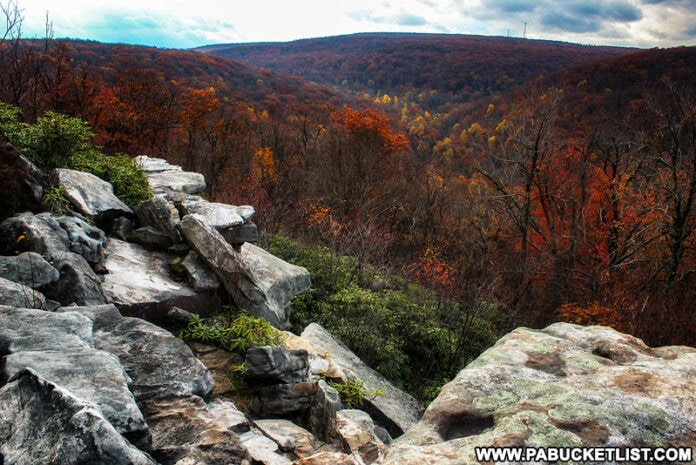 Exploring Wolf Rocks Overlook in the Forbes State Forest