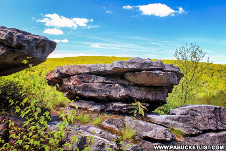 Exploring Wolf Rocks Overlook in the Forbes State Forest