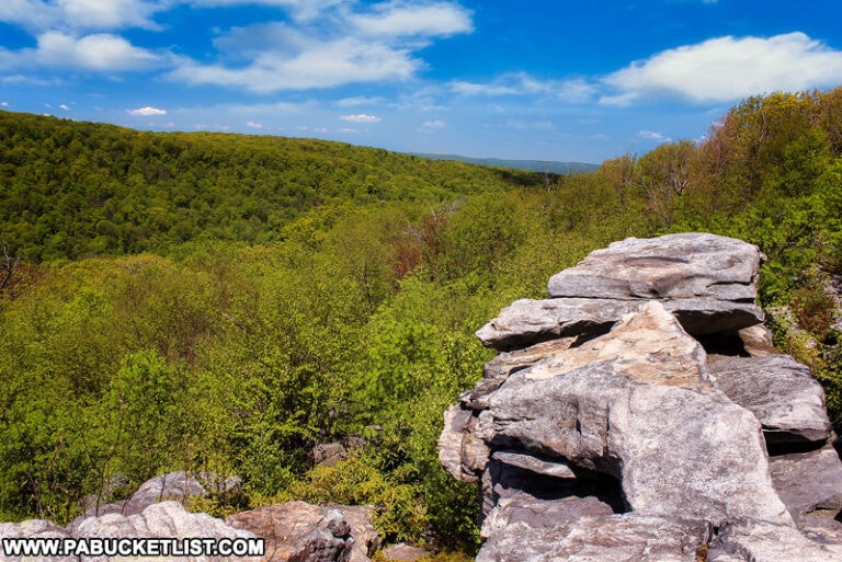 Exploring Wolf Rocks Overlook in the Forbes State Forest