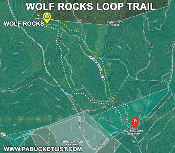 Exploring Wolf Rocks Overlook in the Forbes State Forest