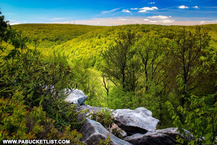 Exploring Wolf Rocks Overlook in the Forbes State Forest