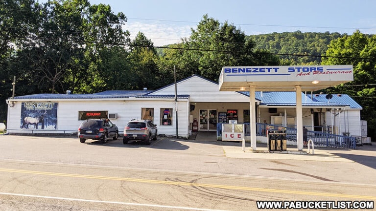 The 15 Best Elk Viewing Destinations in Pennsylvania