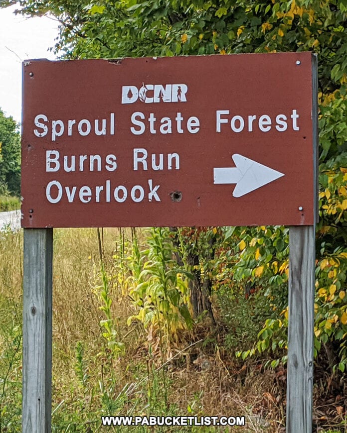 16 Must-See Attractions in the Sproul State Forest - PA Bucket List
