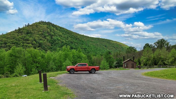 The 15 Best Elk Viewing Destinations in Pennsylvania