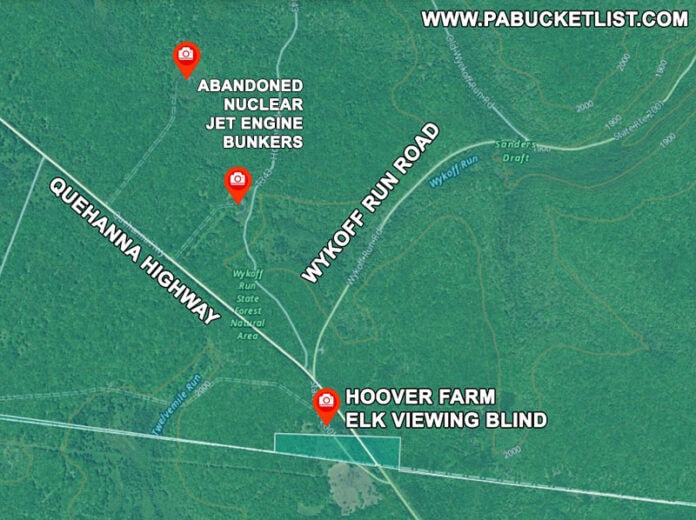 The 15 Best Elk Viewing Destinations in Pennsylvania