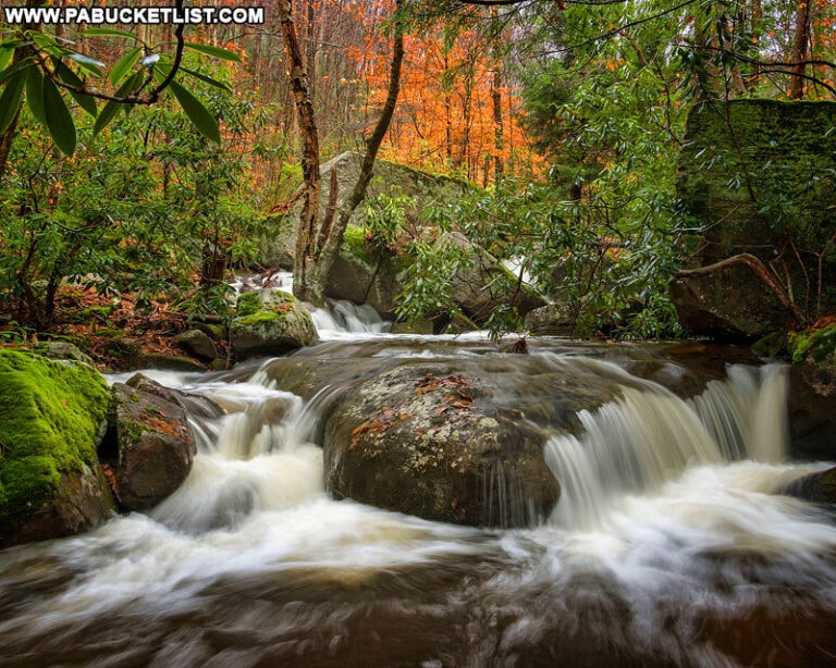 The 5 Best Roadside Attractions in the Quehanna Wild Area