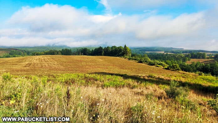 The 15 Best Elk Viewing Destinations in Pennsylvania