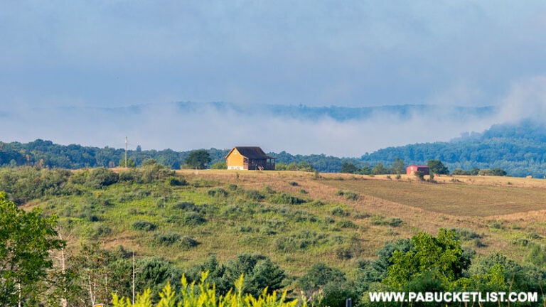 The 15 Best Elk Viewing Destinations in Pennsylvania