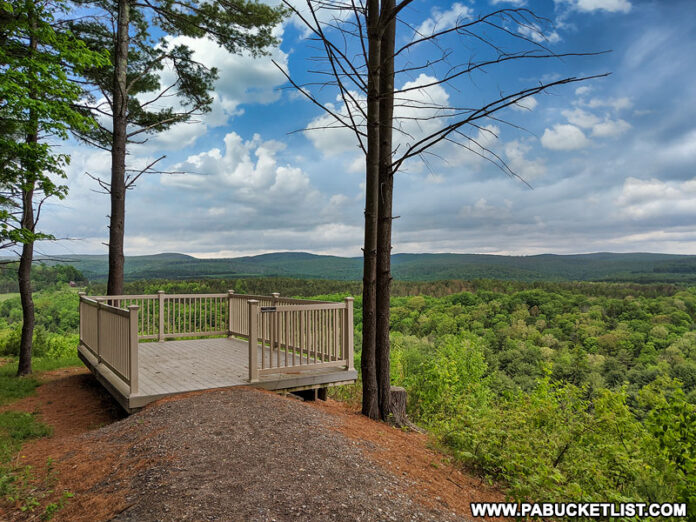 The 15 Best Elk Viewing Destinations in Pennsylvania