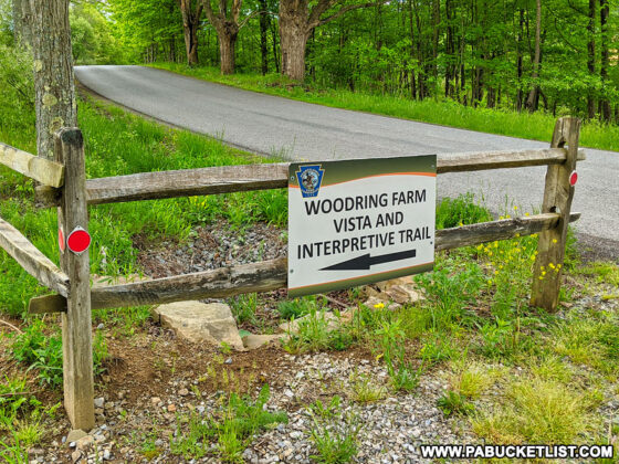 The 15 Best Elk Viewing Destinations in Pennsylvania