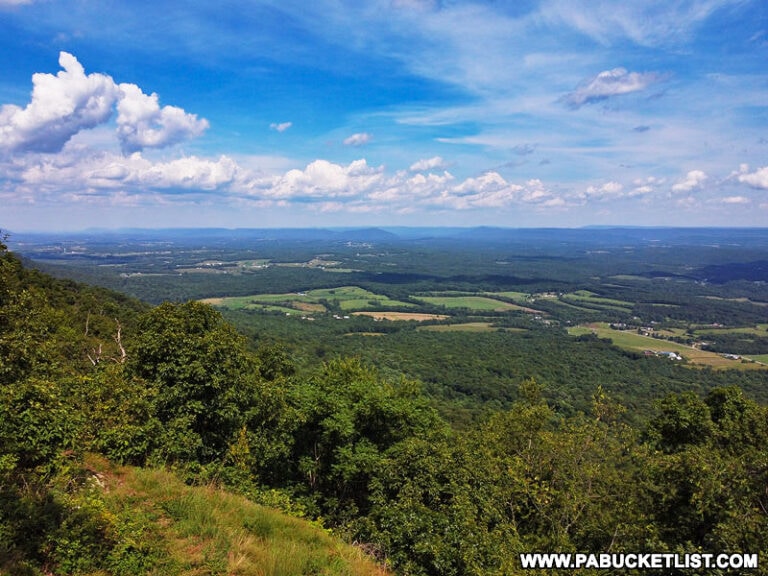 The 7 Best Scenic Overlooks in the Buchanan State Forest