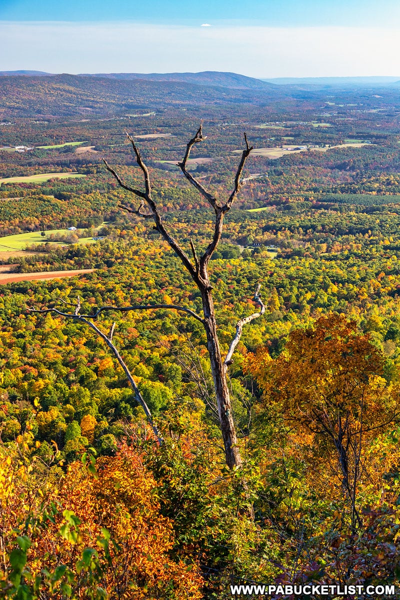 The 7 Best Scenic Overlooks in the Buchanan State Forest