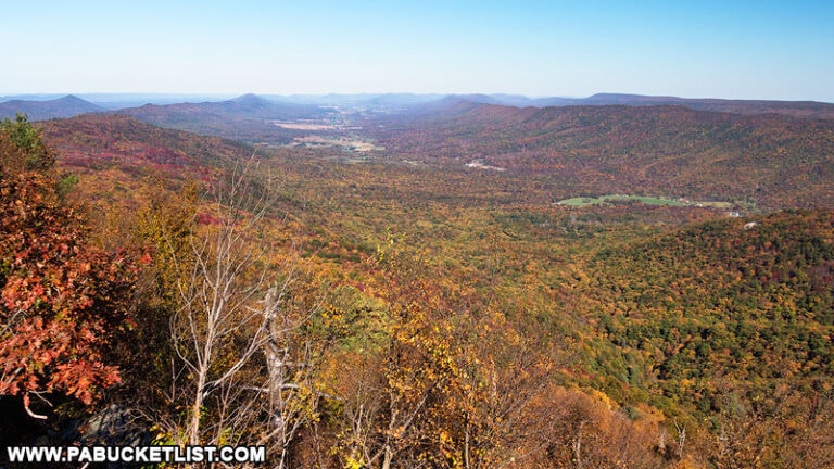 The 7 Best Scenic Overlooks in the Buchanan State Forest