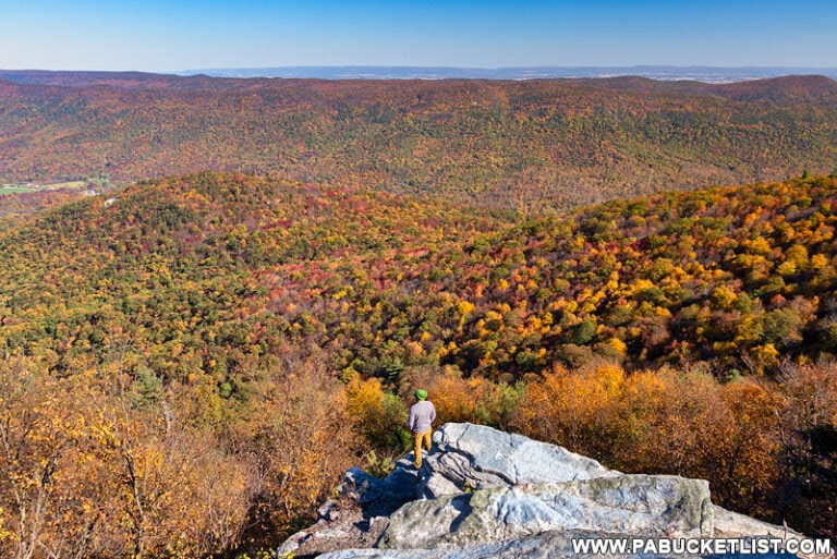 The 7 Best Scenic Overlooks in the Buchanan State Forest