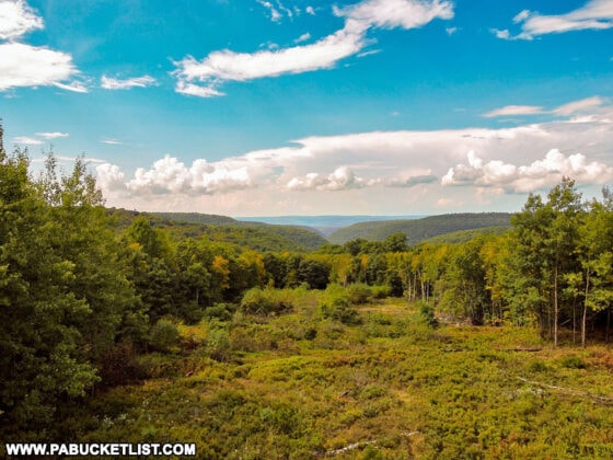 16 Must-See Attractions in the Sproul State Forest - PA Bucket List