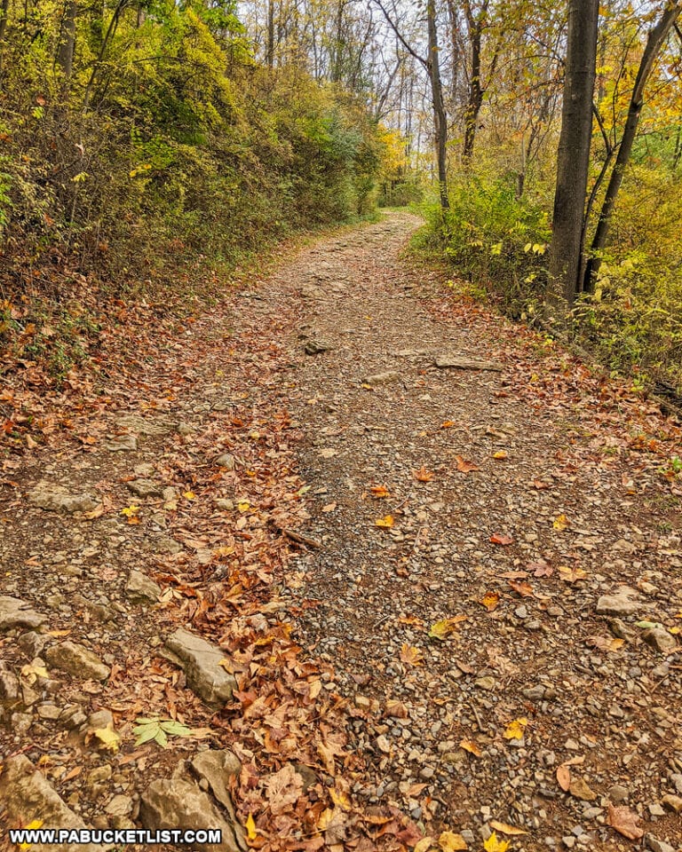 Exploring the Scenic Views at Chimney Rocks Park in Blair County