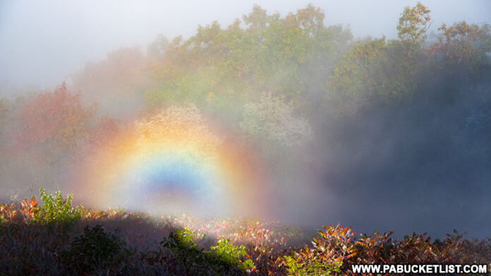Exploring Hyner View State Park in Clinton County