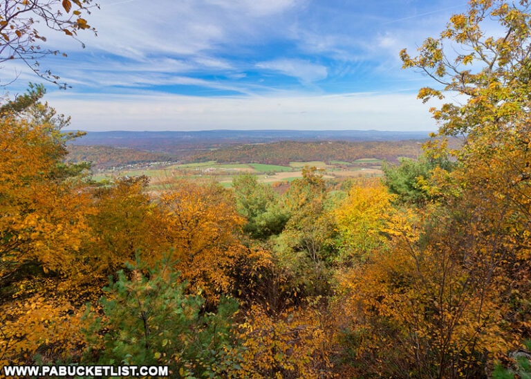 The 7 Best Scenic Overlooks in the Buchanan State Forest