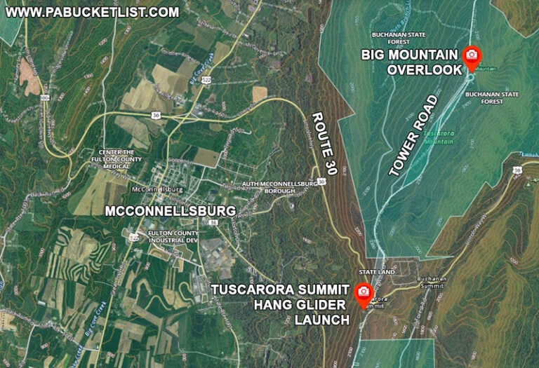 The 7 Best Scenic Overlooks in the Buchanan State Forest