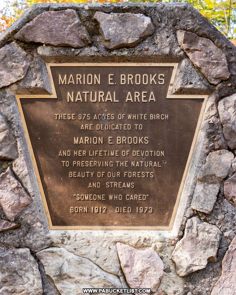 The 5 Best Roadside Attractions in the Quehanna Wild Area