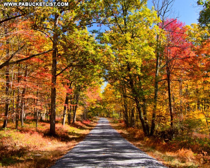 10 Best Roadside Scenic Overlooks in the Bald Eagle State Forest