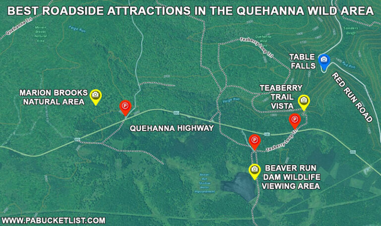 The 5 Best Roadside Attractions in the Quehanna Wild Area