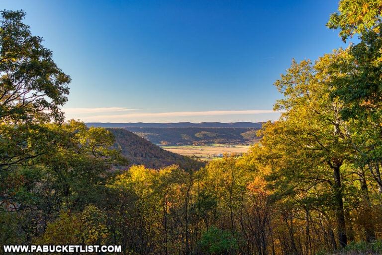 The 7 Best Scenic Overlooks in the Buchanan State Forest