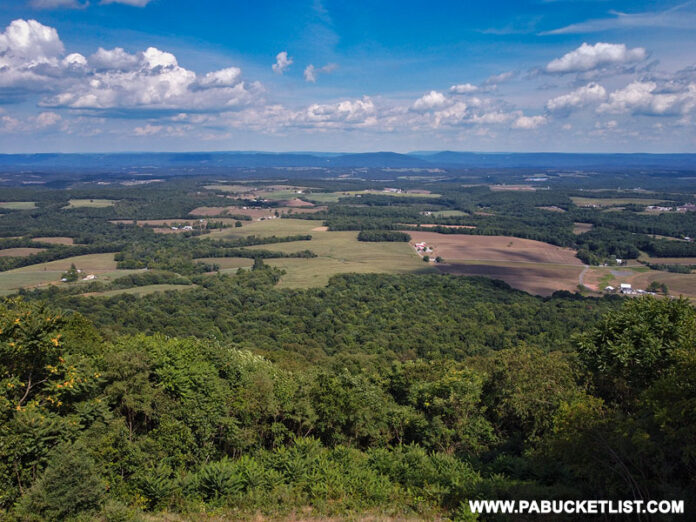 The 7 Best Scenic Overlooks in the Buchanan State Forest