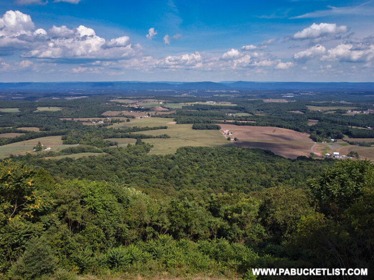 The 7 Best Scenic Overlooks in the Buchanan State Forest