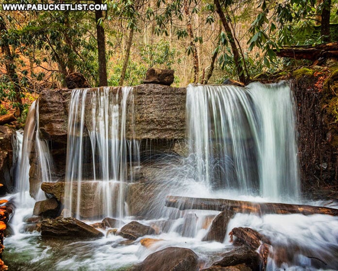 The 5 Best Roadside Attractions in the Quehanna Wild Area