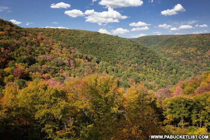 The 5 Best Roadside Attractions in the Quehanna Wild Area