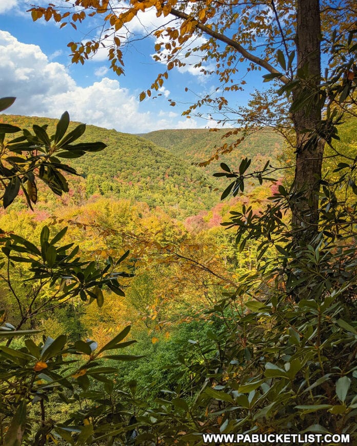 The 5 Best Roadside Attractions in the Quehanna Wild Area