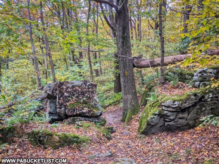 Exploring Laurel Run Overlook in Fayette County