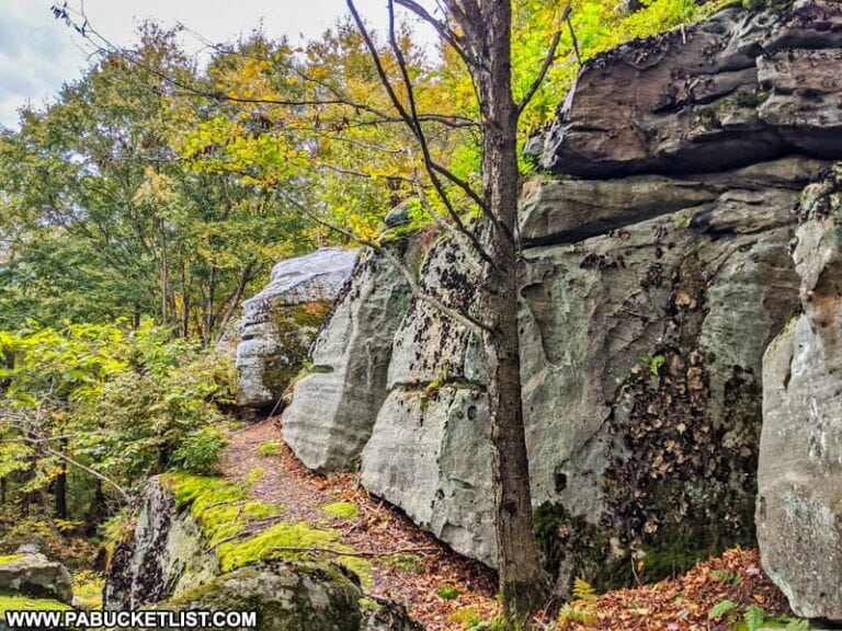 Exploring Laurel Run Overlook in Fayette County