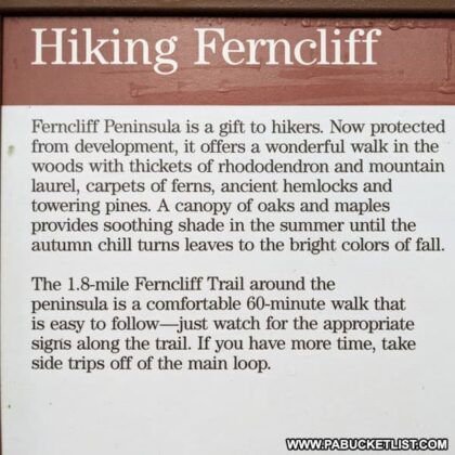 Hiking the Ferncliff Trail at Ohiopyle State Park