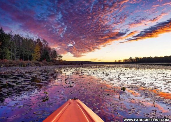 Exploring Black Moshannon State Park in Centre County