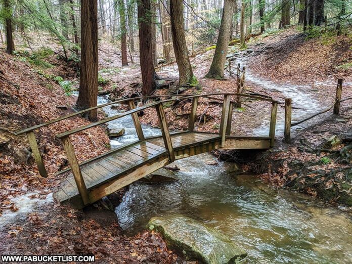 Exploring Linn Run State Park in Westmoreland County - PA Bucket List