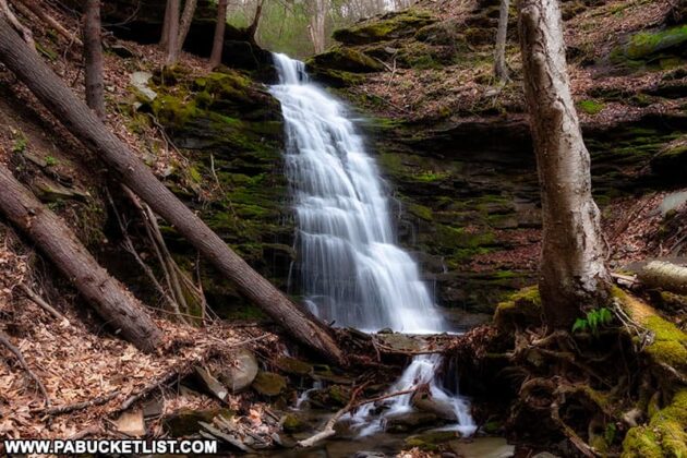 Exploring Stone Quarry Run Falls in Tioga County