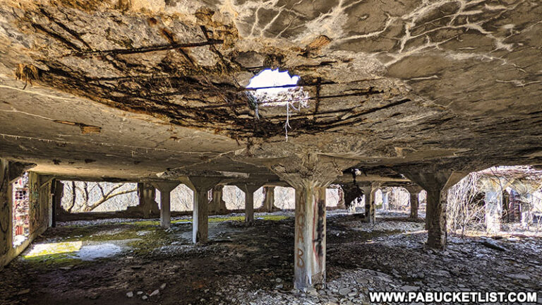 Exploring the Abandoned Bayless Paper Mill in Potter County