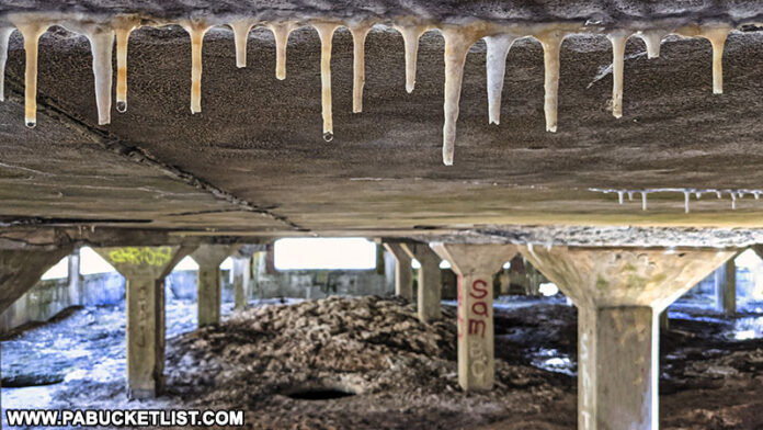 Exploring the Abandoned Bayless Paper Mill in Potter County