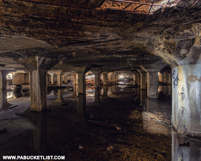 Exploring the Abandoned Bayless Paper Mill in Potter County