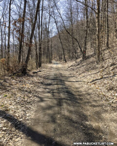 Exploring the Abandoned Bayless Paper Mill in Potter County