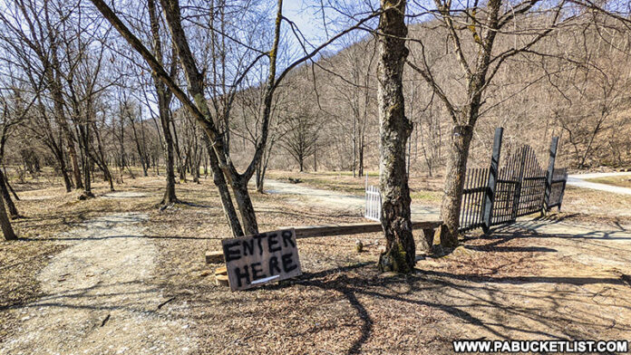 Exploring the Abandoned Bayless Paper Mill in Potter County