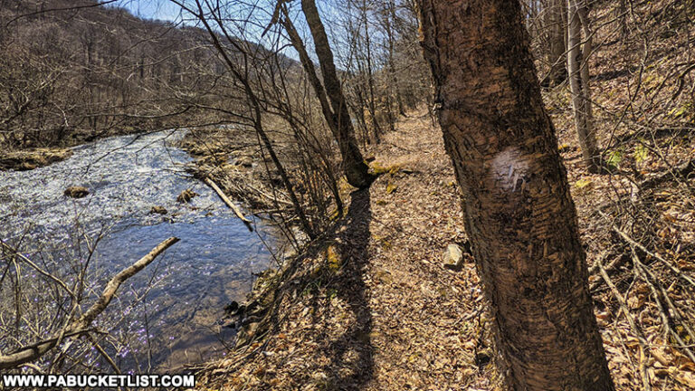 Exploring the Abandoned Bayless Paper Mill in Potter County
