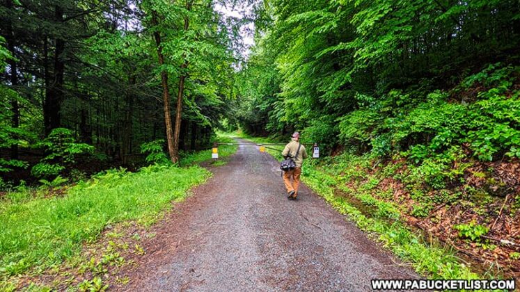 Exploring Thomas Run Falls in Bradford County
