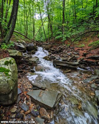 Exploring Thomas Run Falls in Bradford County