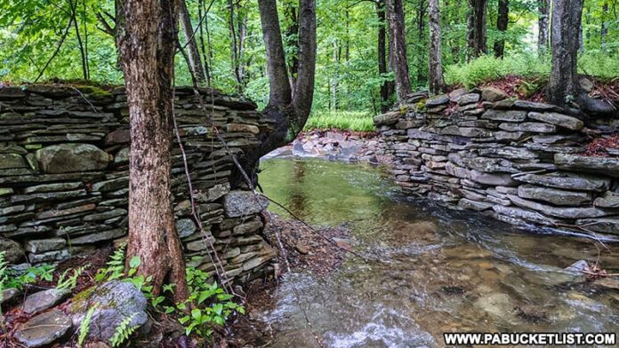 Exploring Thomas Run Falls in Bradford County