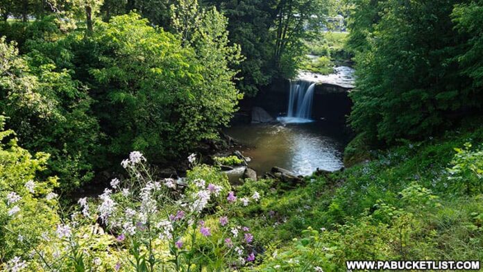 Exploring Big Run Falls in Lawrence County
